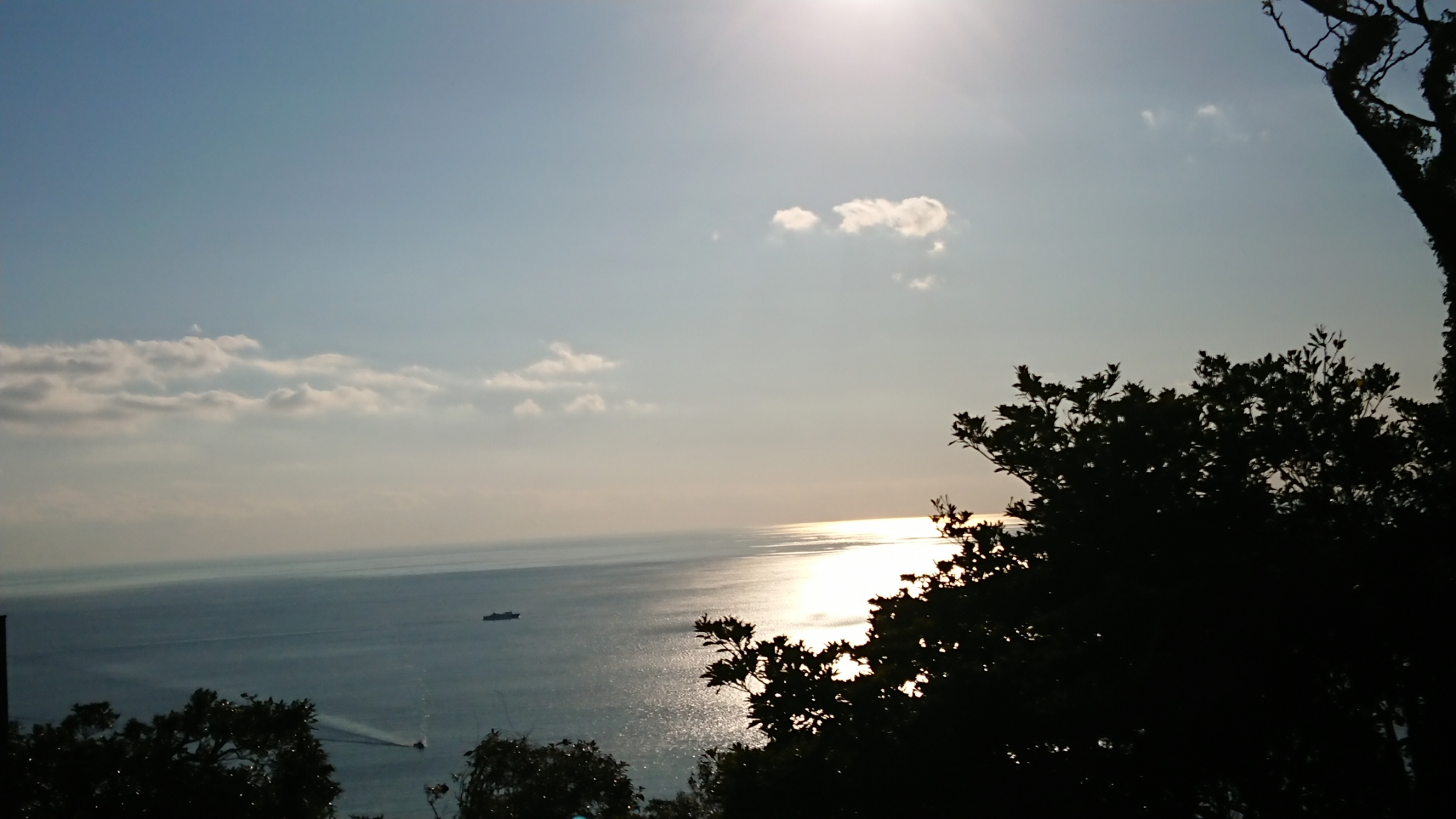 DSC_3192 | それいけ 福将丸